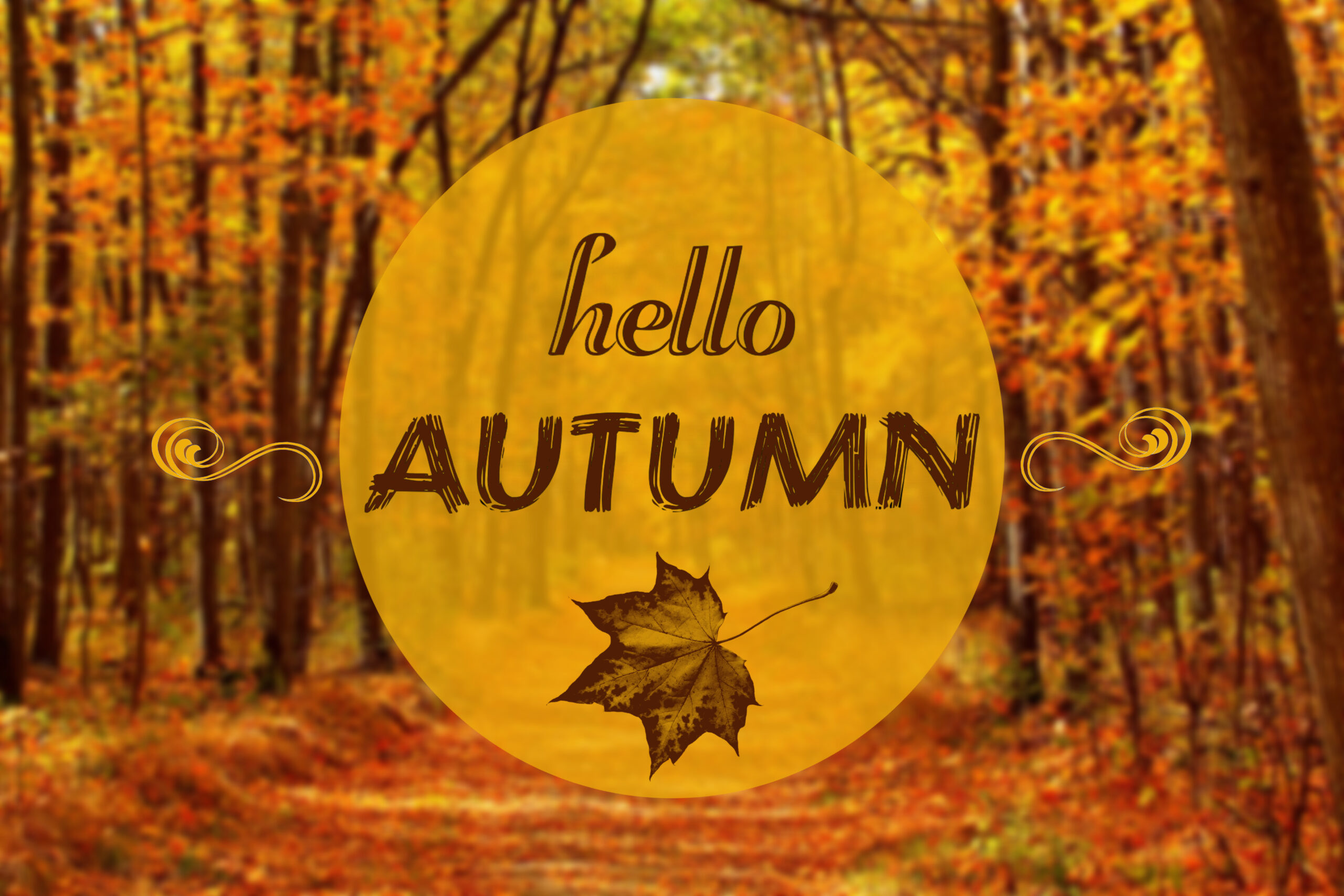 Hello Autumn - Perfectly Holistic
